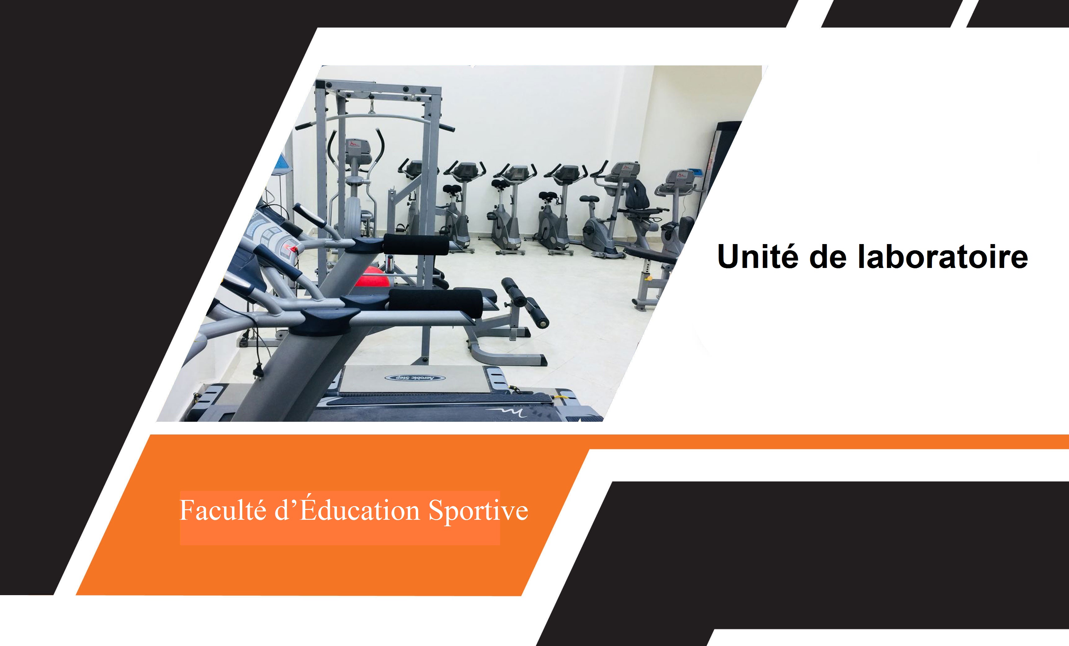 Faculté d’Éducation Sportive